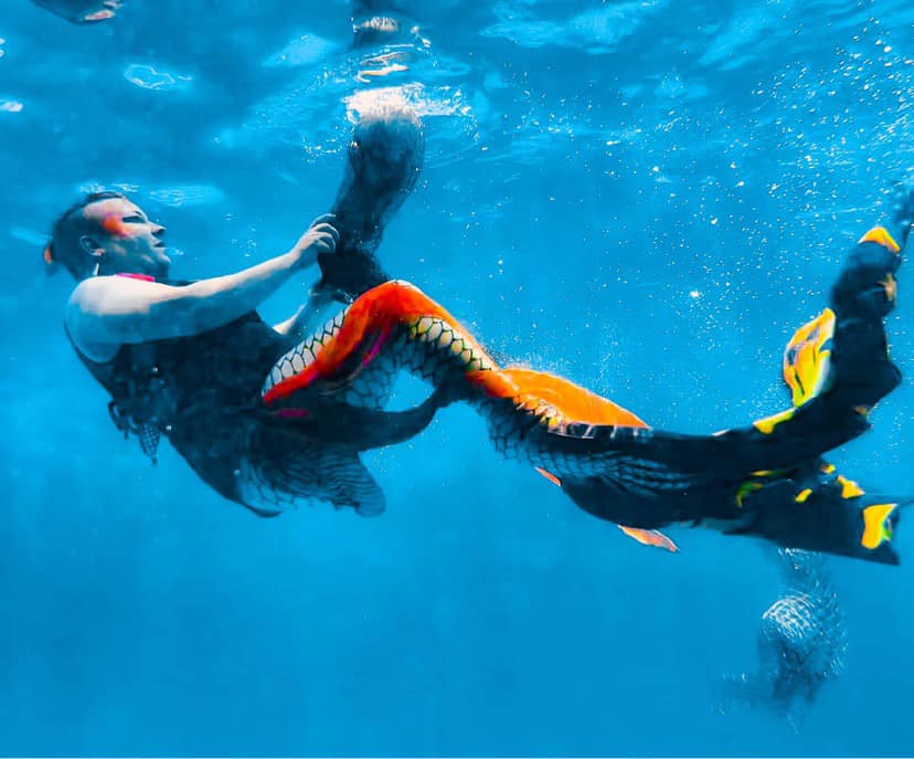 Butterfly Mermaid Tail Orange/Blue/Green/Pink – Mermaid Lucia Official