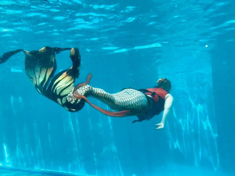 Butterfly Mermaid Tail Orange/Blue/Green/Pink – Mermaid Lucia Official
