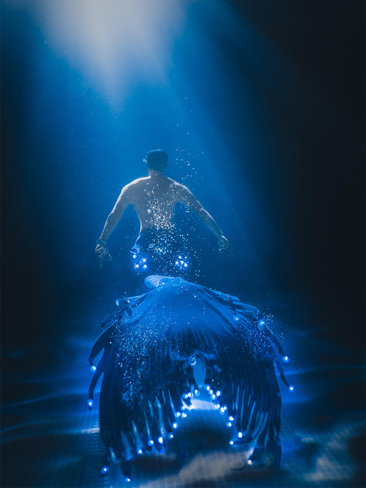 Amazing LED Mermaid Merman Tail Style 1 Blue Purple – Mermaid Lucia ...