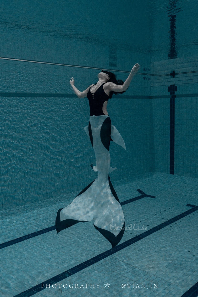 Mermaid Orca Whale Tail Style 3 – Mermaid Lucia Official