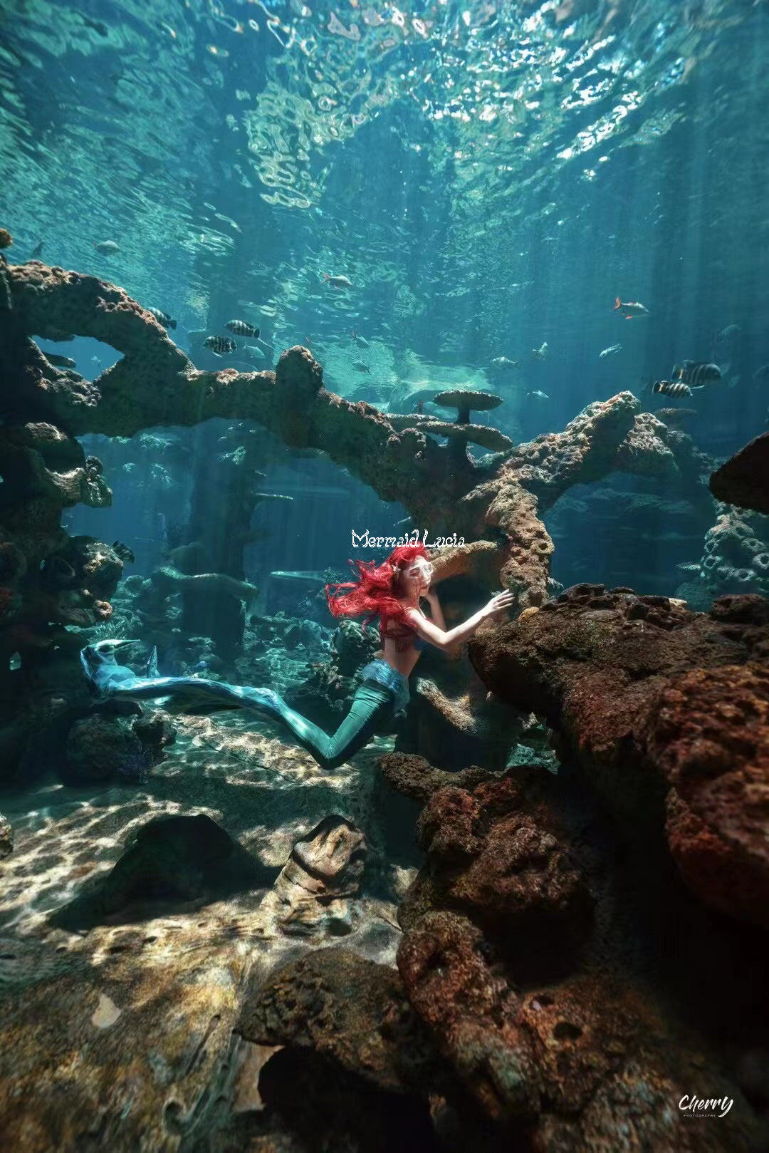 Mermaid Little Mermaid Tail 1 Reflective Fabric Teal Color – Mermaid ...