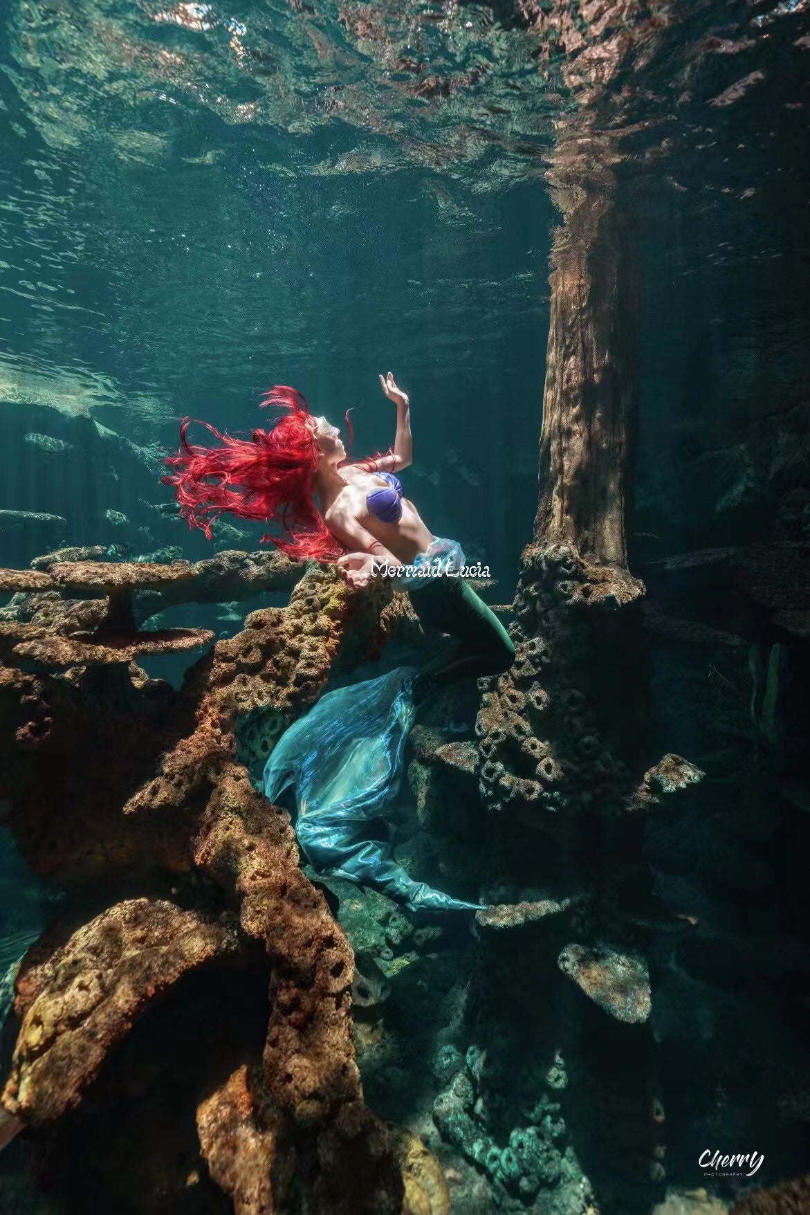 Mermaid Little Mermaid Tail 1 Reflective Fabric Teal Color – Mermaid ...