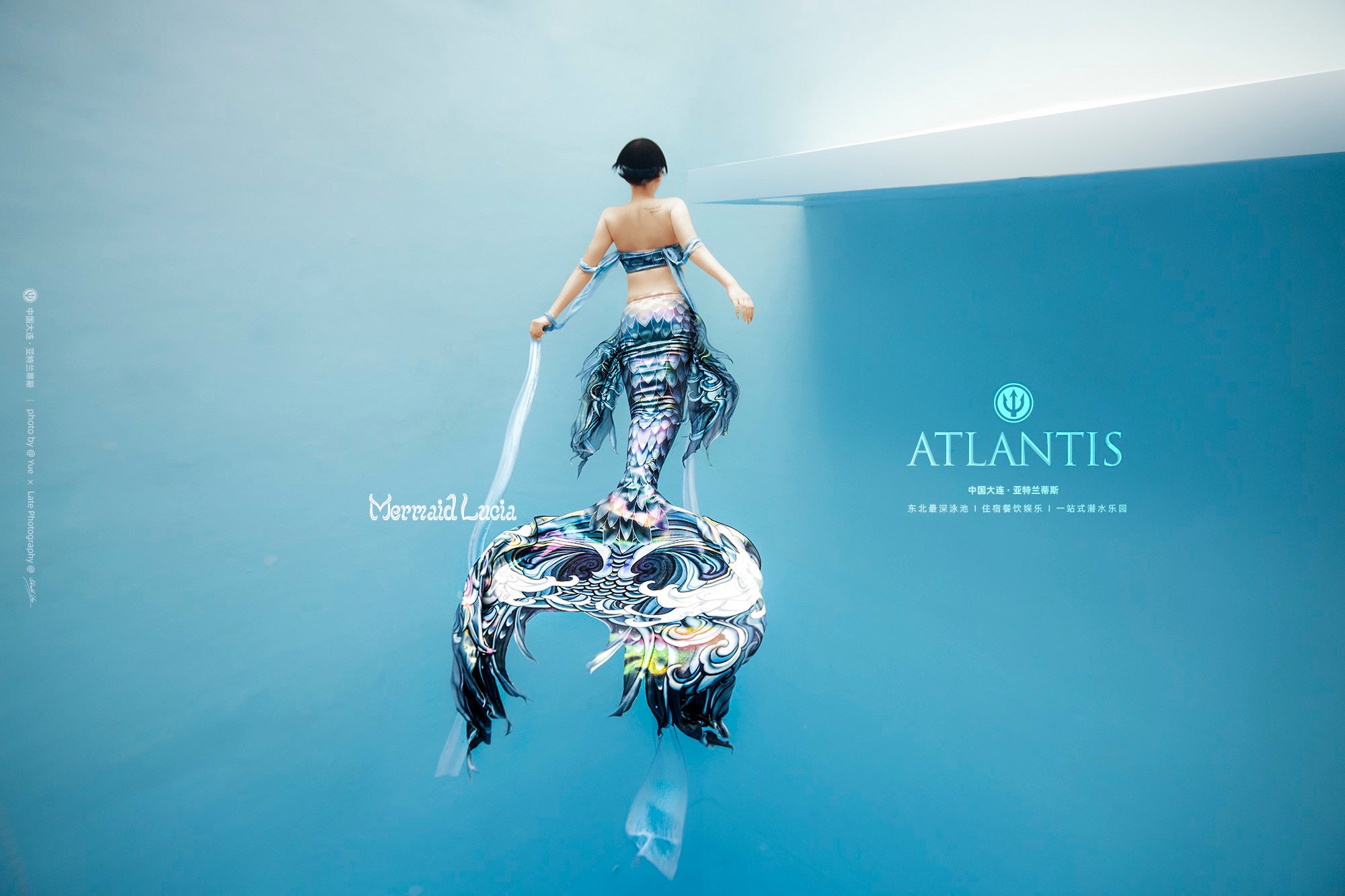 Blue Water Peacock Mermaid Merman Tail – Mermaid Lucia Official