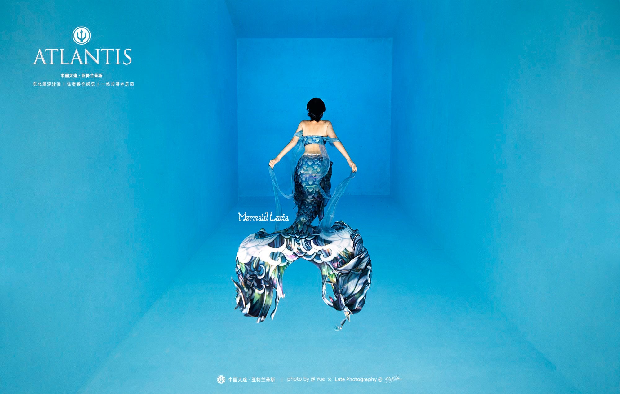 Blue Water Peacock Mermaid Merman Tail – Mermaid Lucia Official