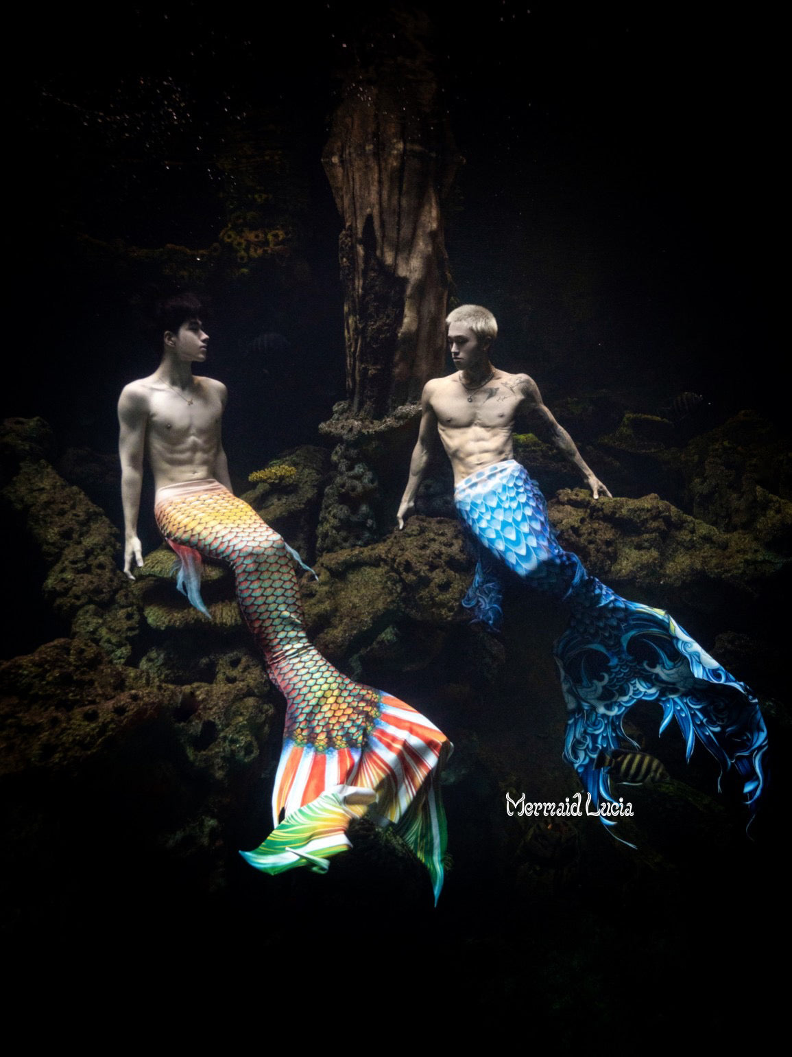 Blue Water Peacock Mermaid Merman Tail – Mermaid Lucia Official