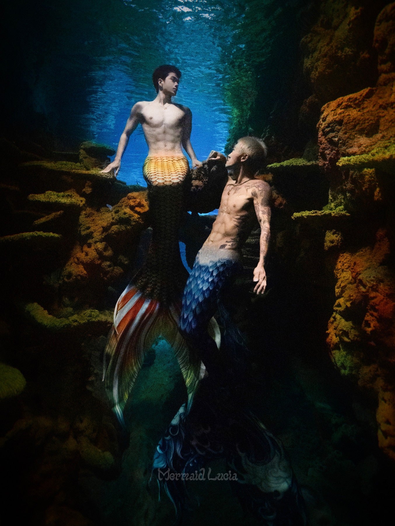 Blue Water Peacock Mermaid Merman Tail – Mermaid Lucia Official