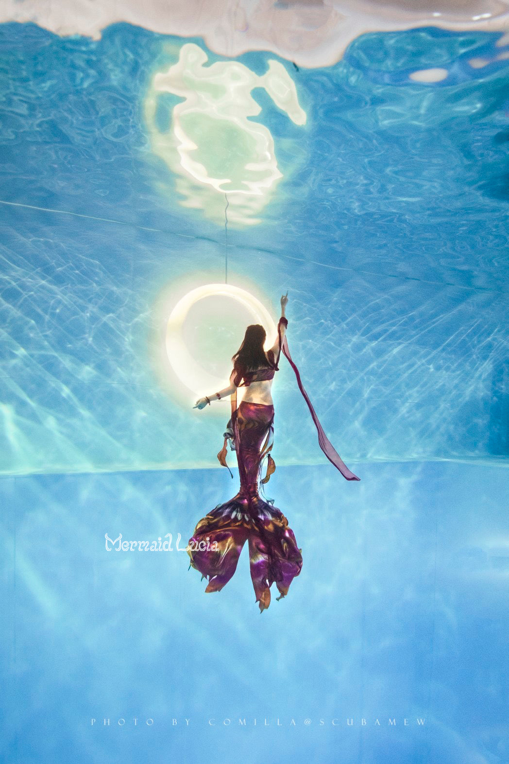 Red Water Peacock Mermaid Merman Tail – Mermaid Lucia Official