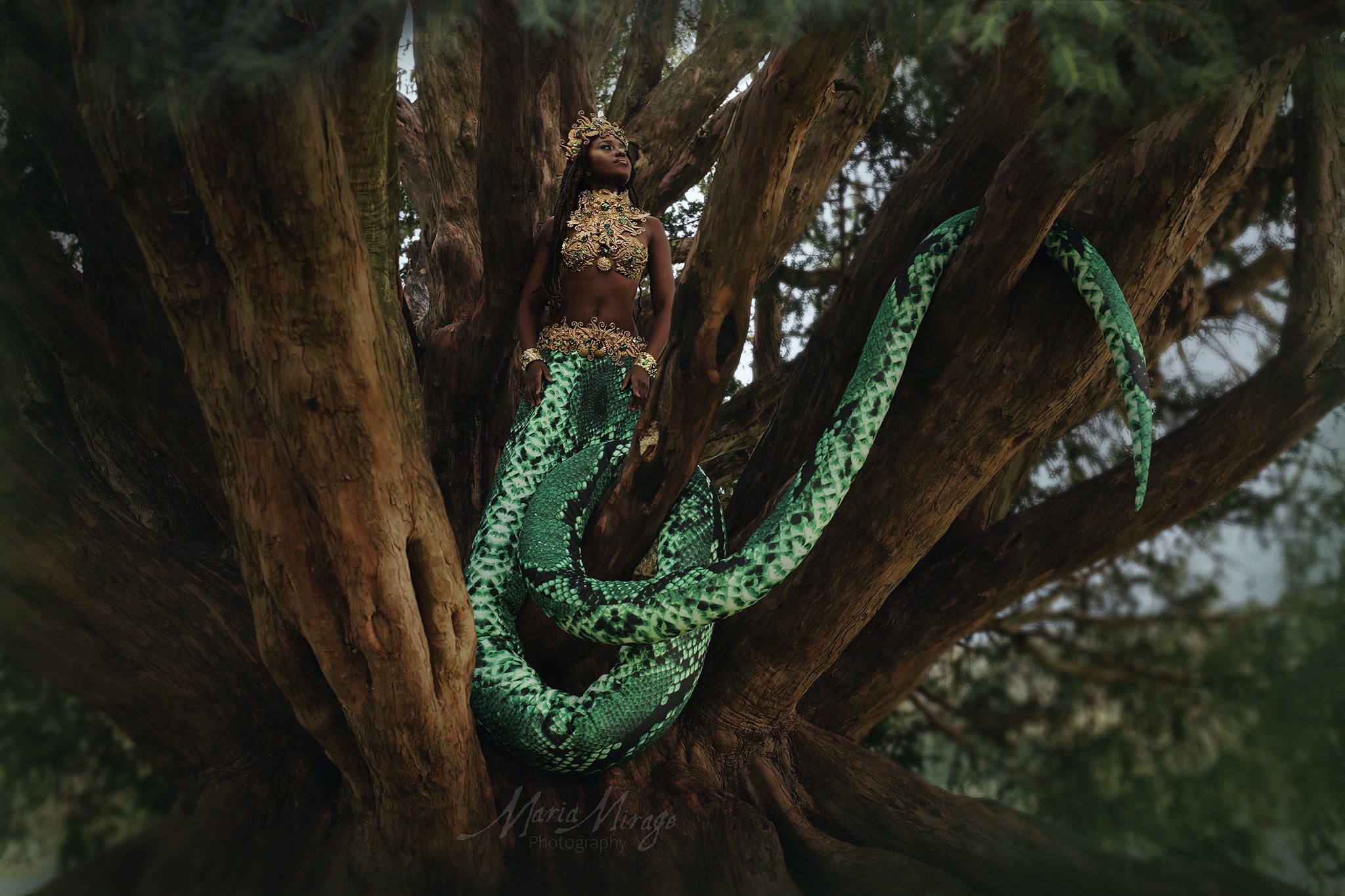 Shooting Props Photography Dragon Snake Tail Mermaid Merman Tails ...