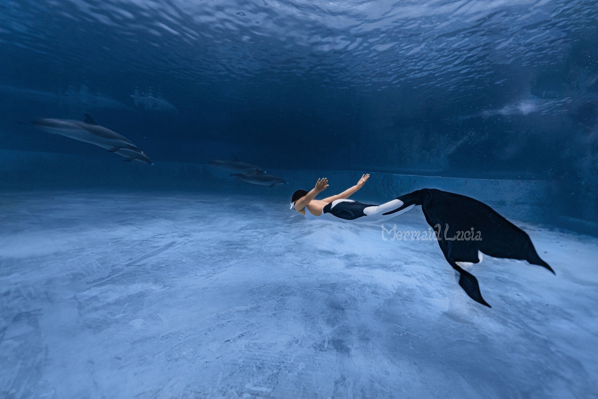 Mermaid Orca Whale Tail Style 1 – Mermaid Lucia Official