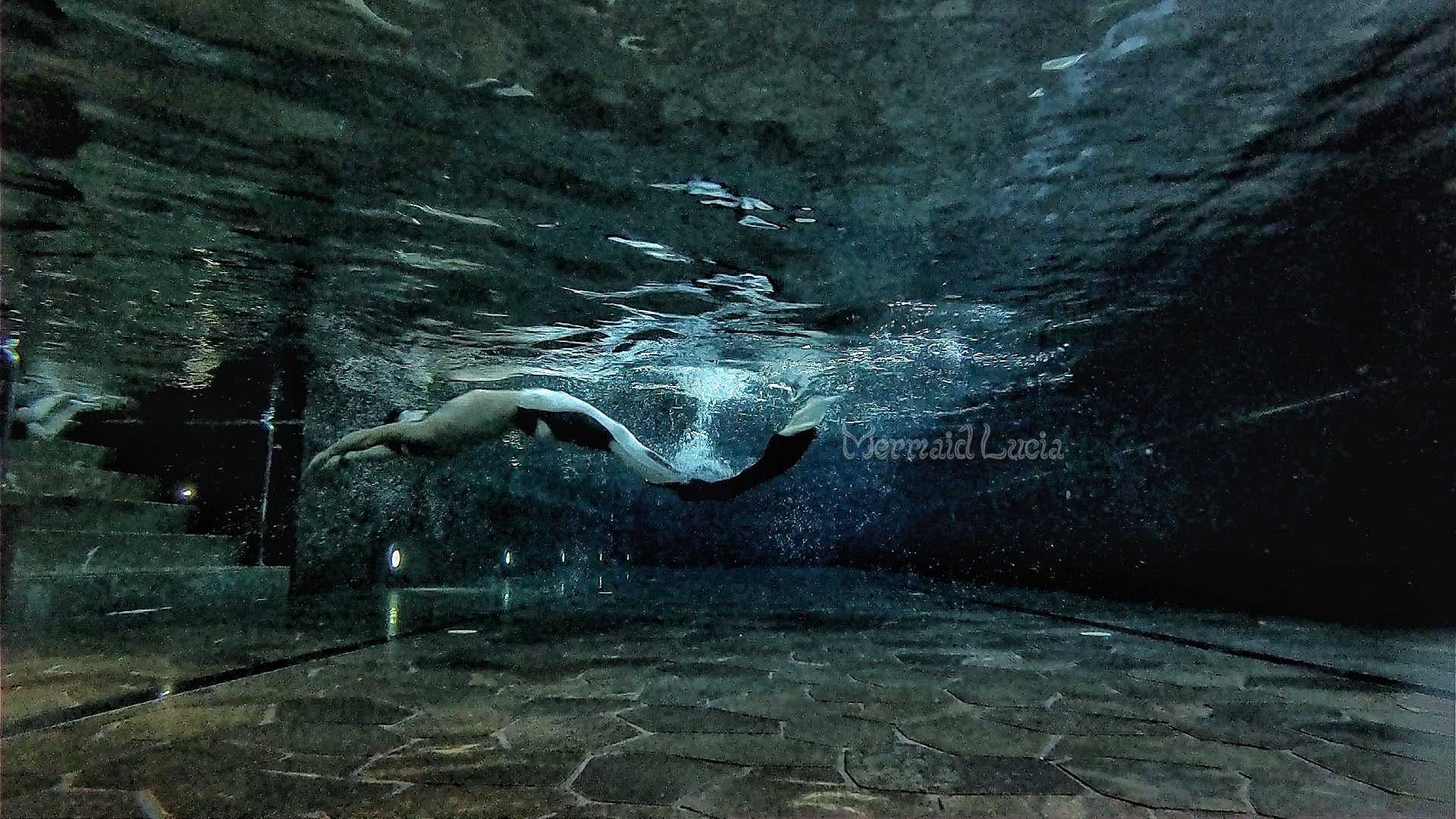 Mermaid Orca Whale Tail Style 1 – Mermaid Lucia Official