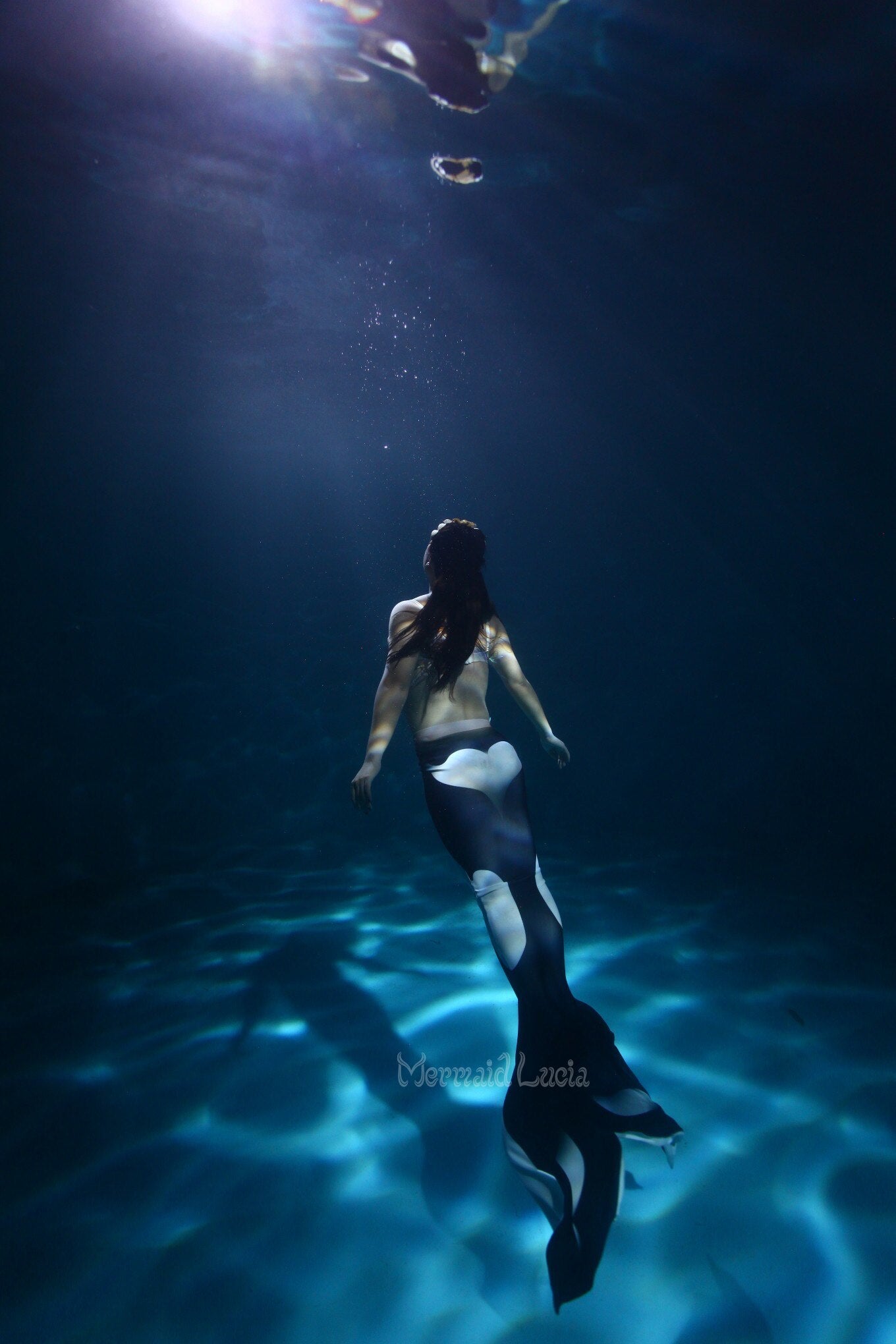 Mermaid Orca Whale Tail Style 1 – Mermaid Lucia Official