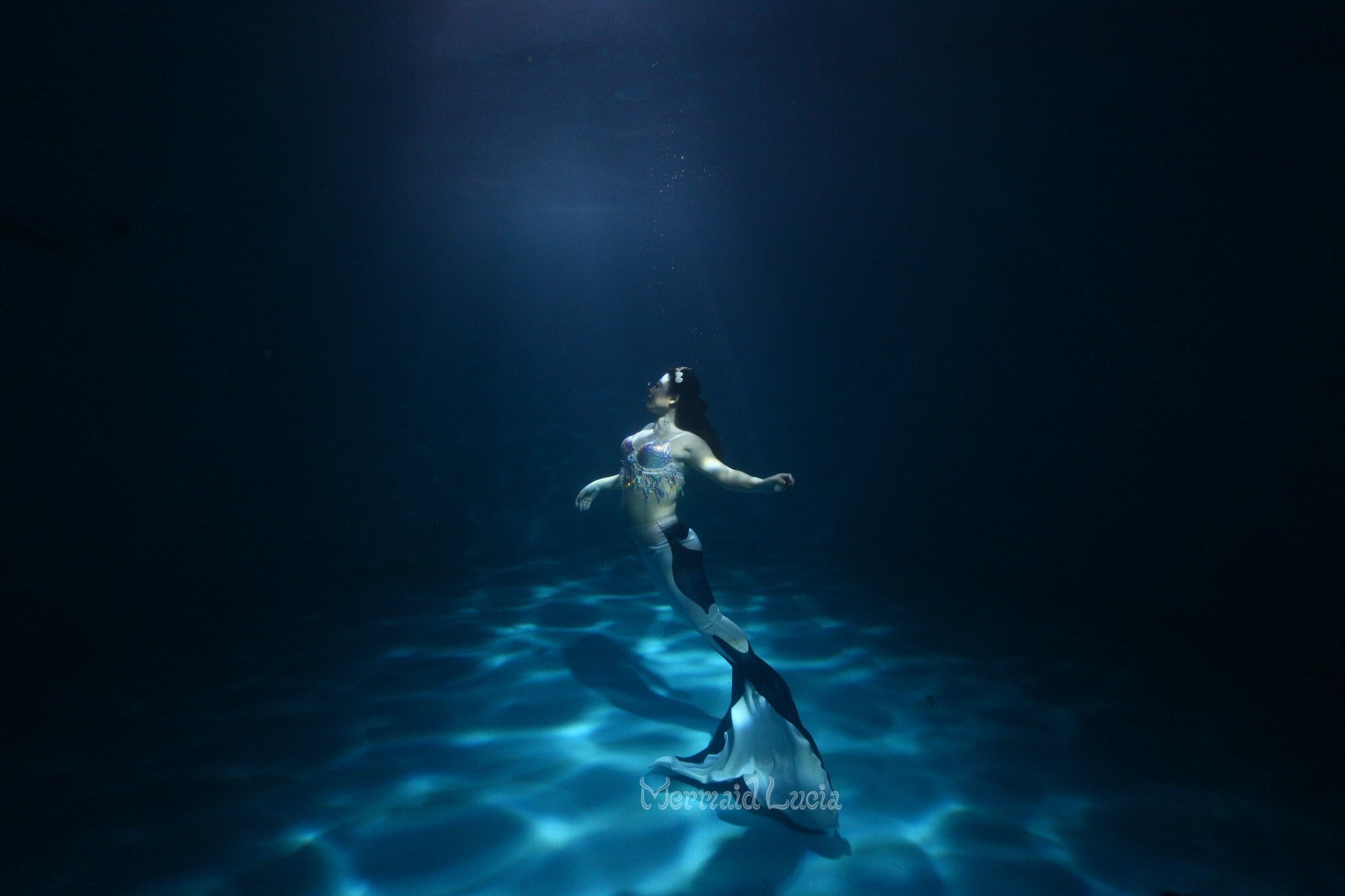 Mermaid Orca Whale Tail Style 1 – Mermaid Lucia Official