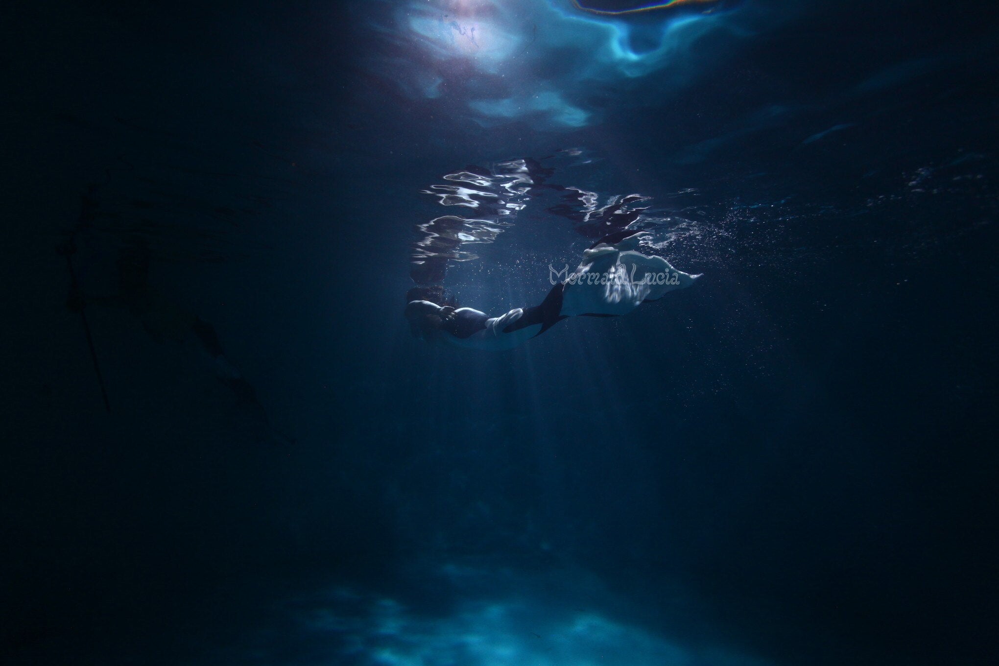 Mermaid Orca Whale Tail Style 1 – Mermaid Lucia Official