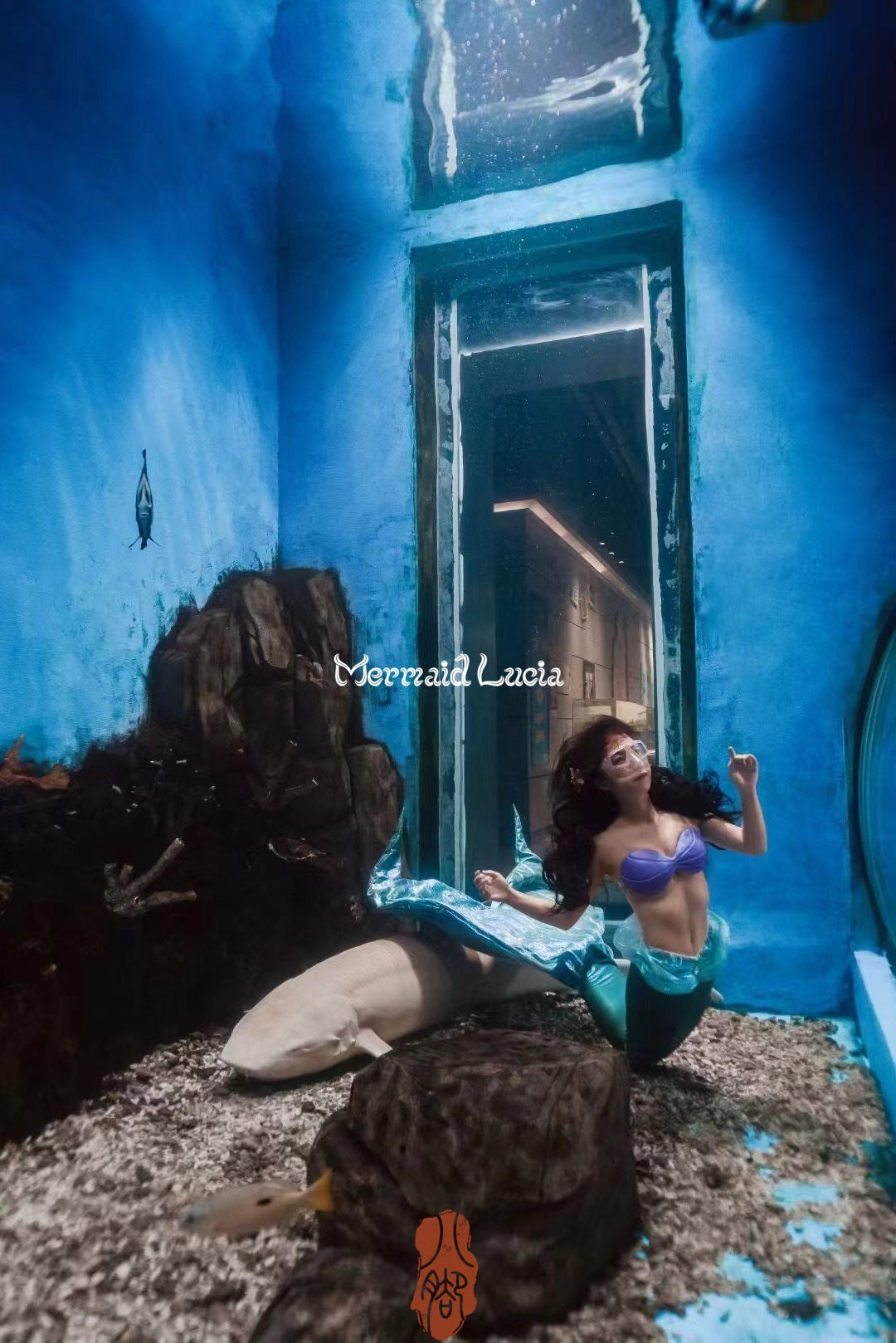 Mermaid Silicone Shell Bra Style 4 Little Mermaid Top Costume - Mermai ...